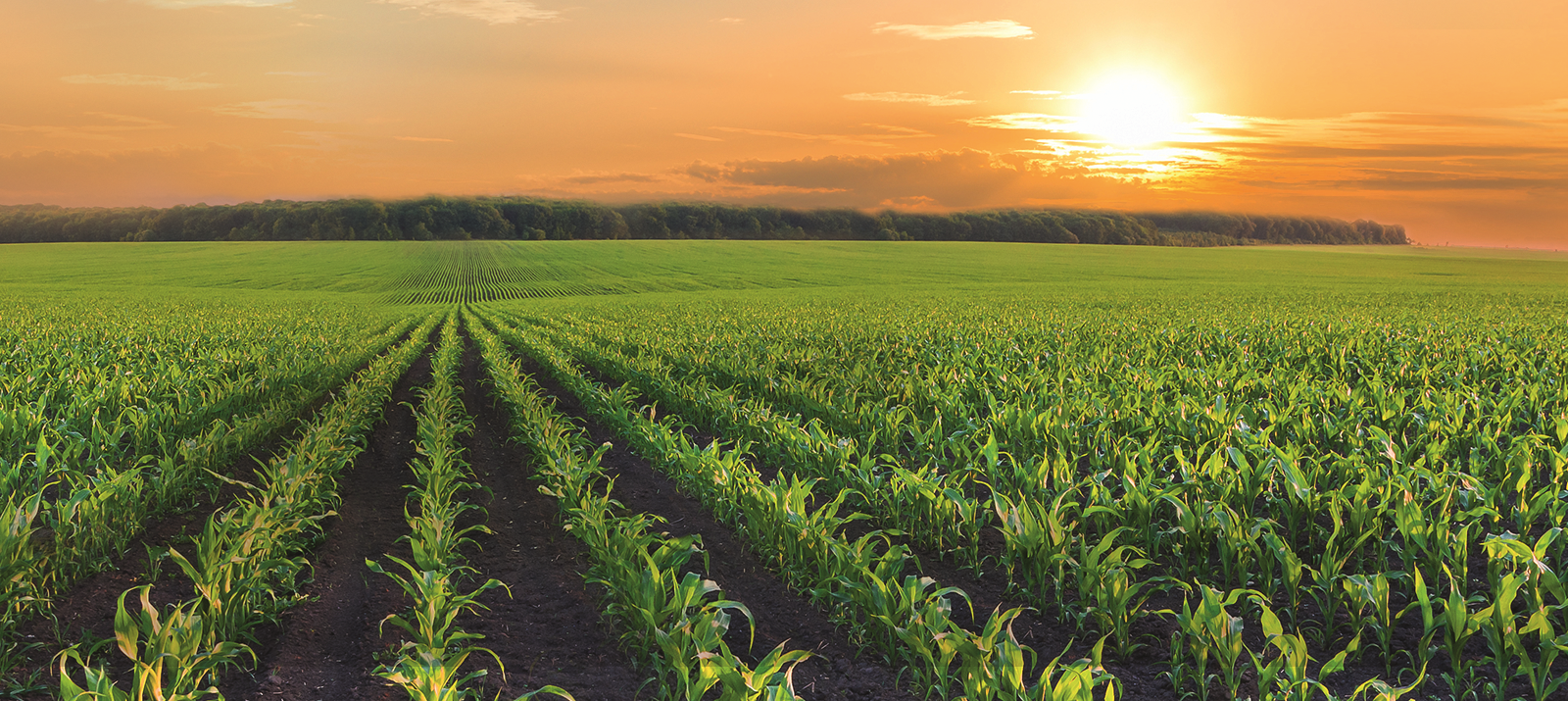 Laudis+Aspect Pro | Bayer Austria GmbH